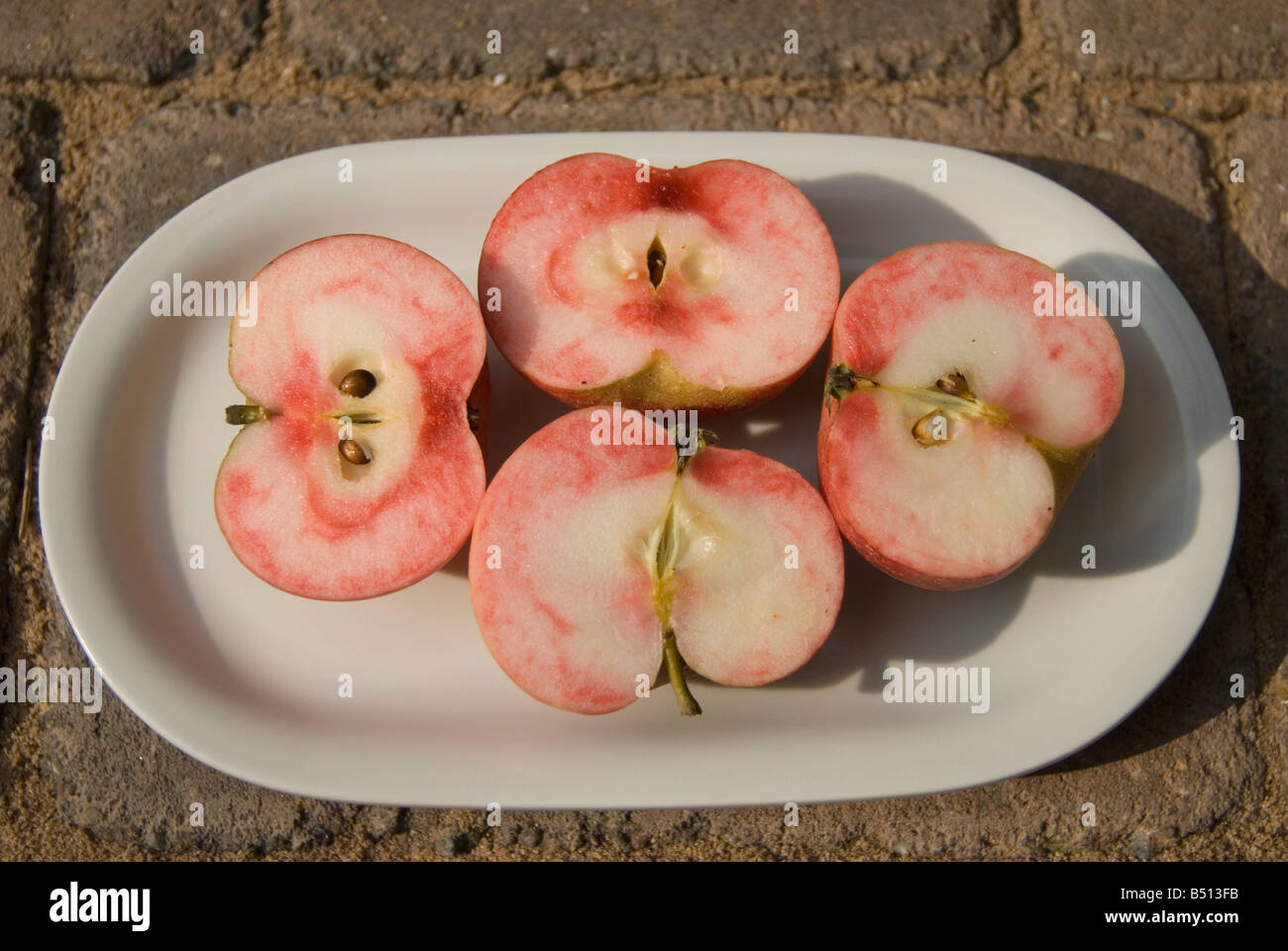 Halved Beauty of Bath apples on white china plate Stock Photo - Alamy