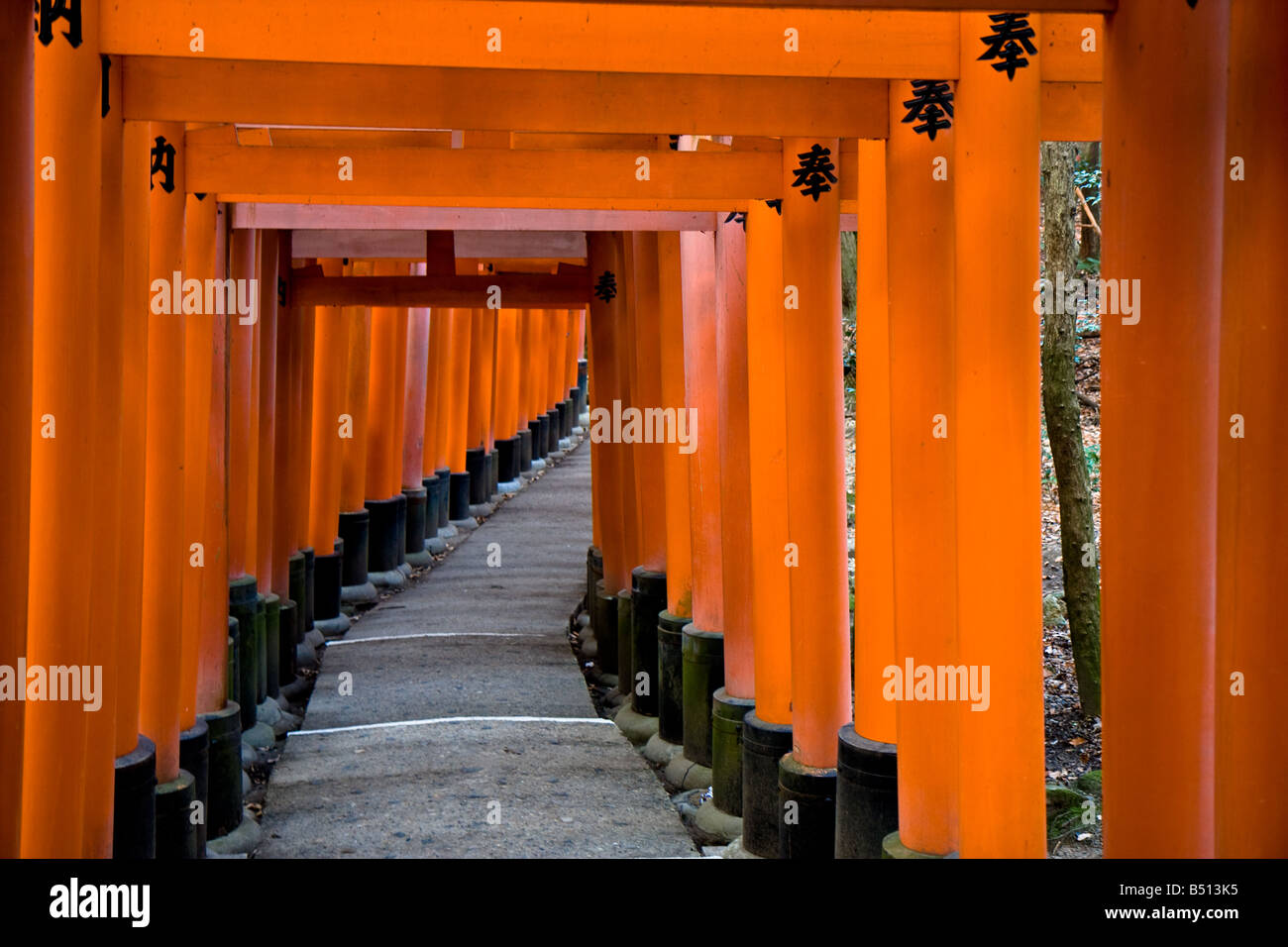 Red Torii at Fushimi Inari Taisha shrine, Kyoto, Japan Stock Photo - Alamy
