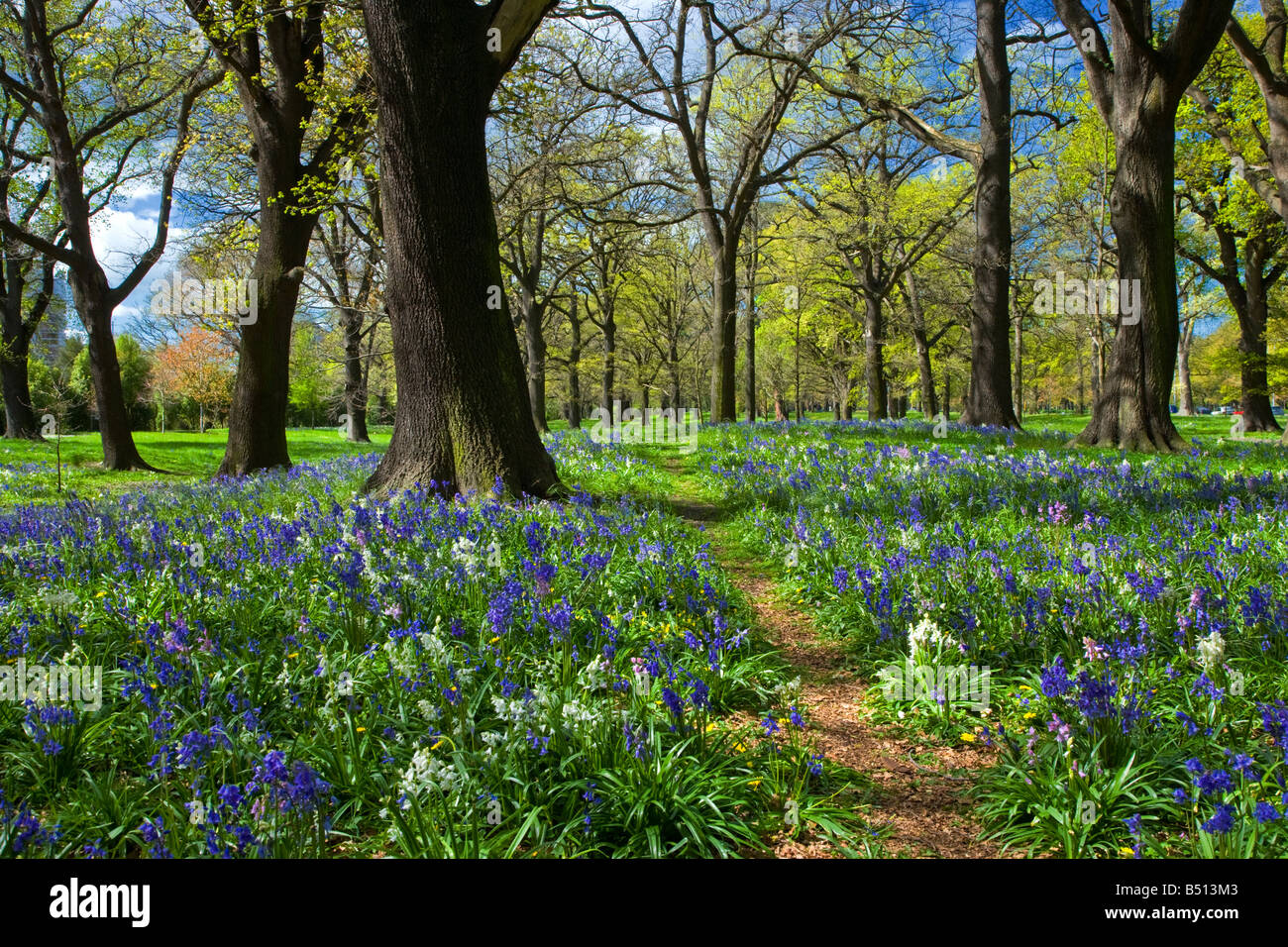 Christchurch hagley park spring hi-res stock photography and images - Alamy