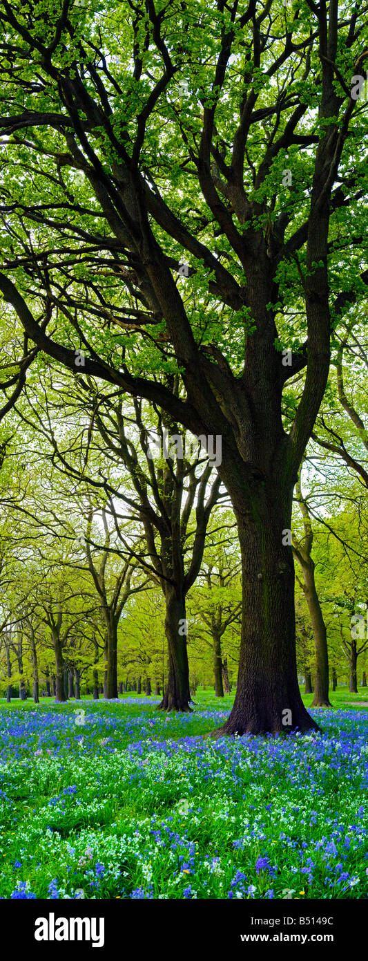 Christchurch Hagley Park Spring Stock Photos & Christchurch Hagley Park ...