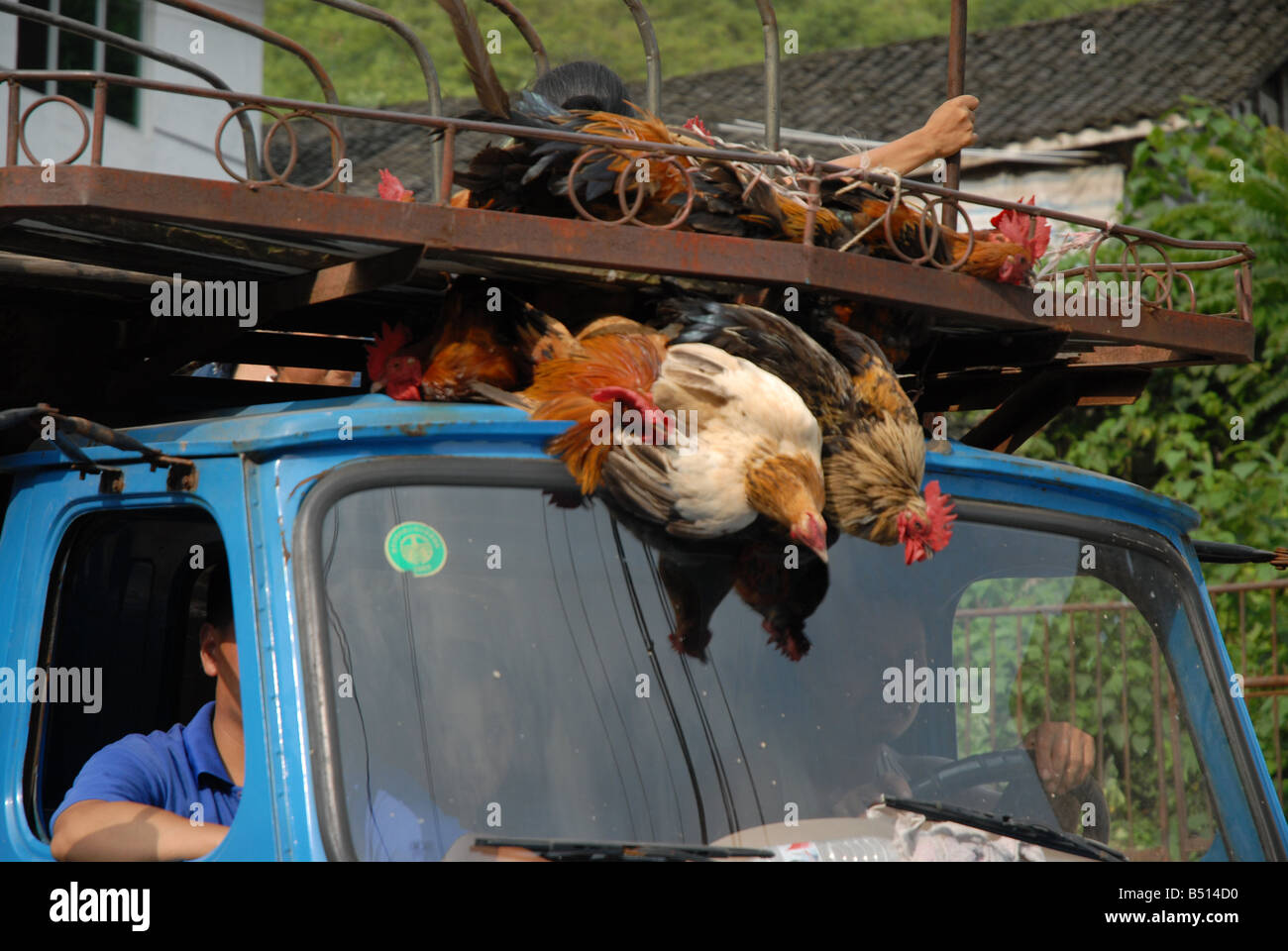 A full truck rolls through a village in rural Chongqing Municipality ...