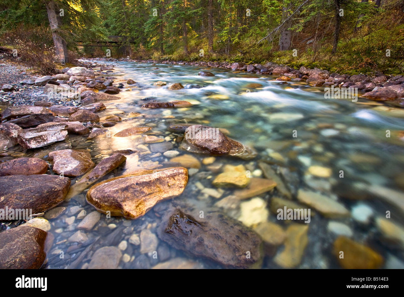 Johnston Canyon Creek, Banff National Park, Alberta, Canada Stock Photo ...