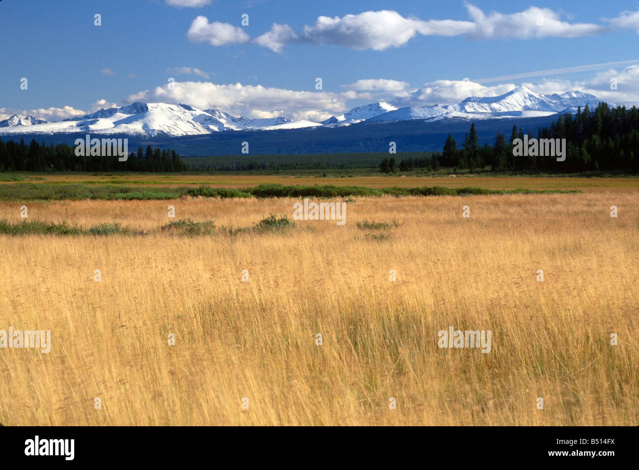 Chilcotin plateau hi-res stock photography and images - Alamy