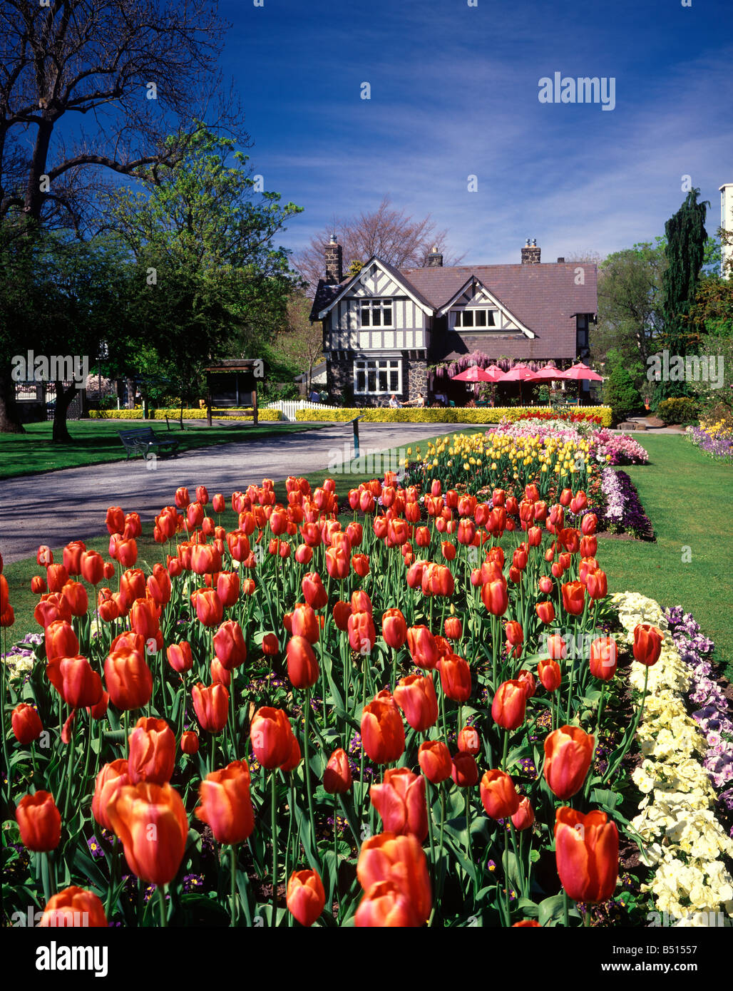 A scenic photo in Christchurch, New Zealand of the spring flowers in ...