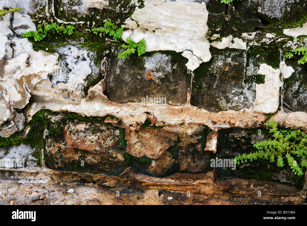 Crumbling stucco hi-res stock photography and images - Alamy