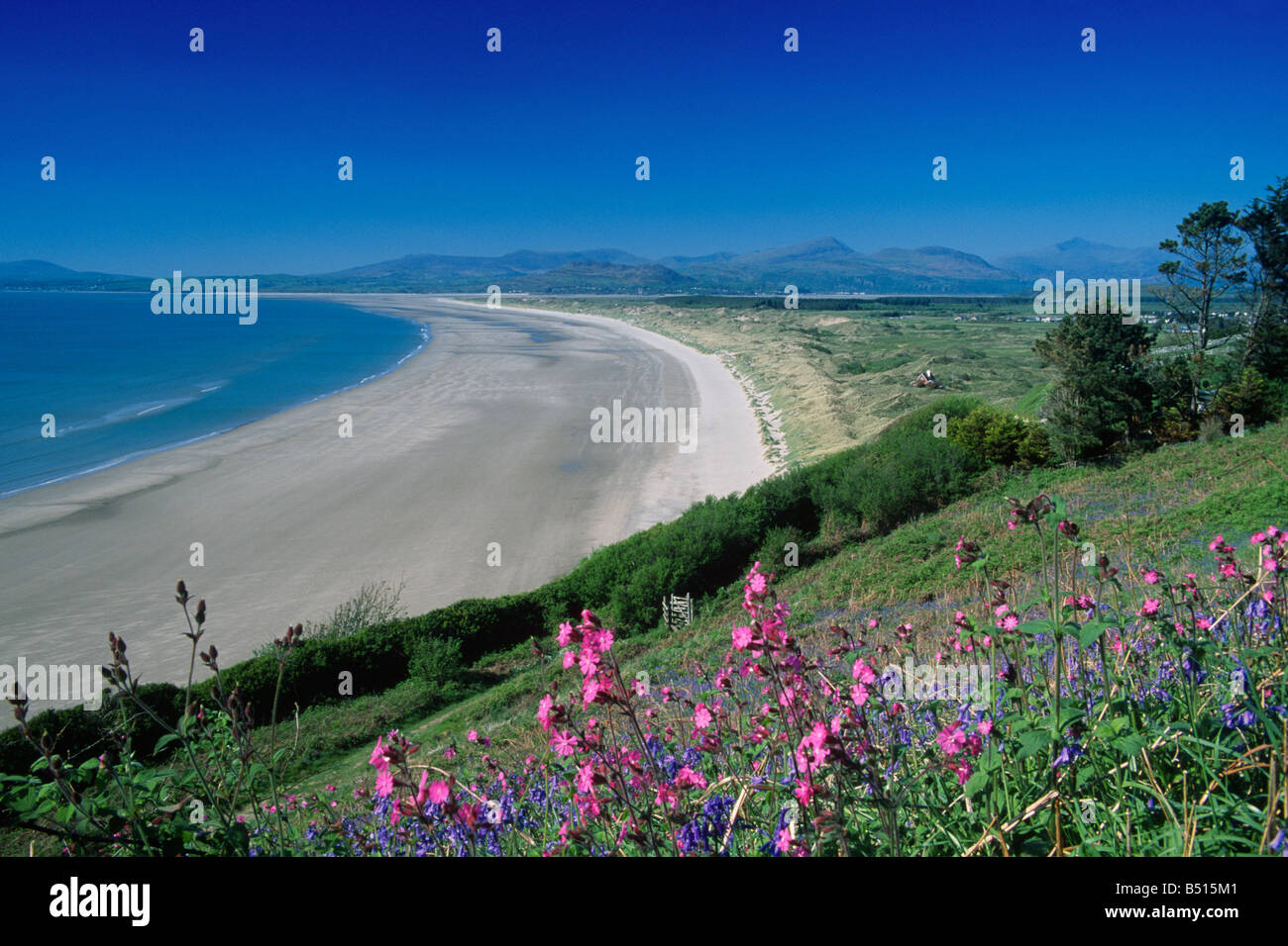 Harlech Beach Gwynedd Stock Photo - Alamy