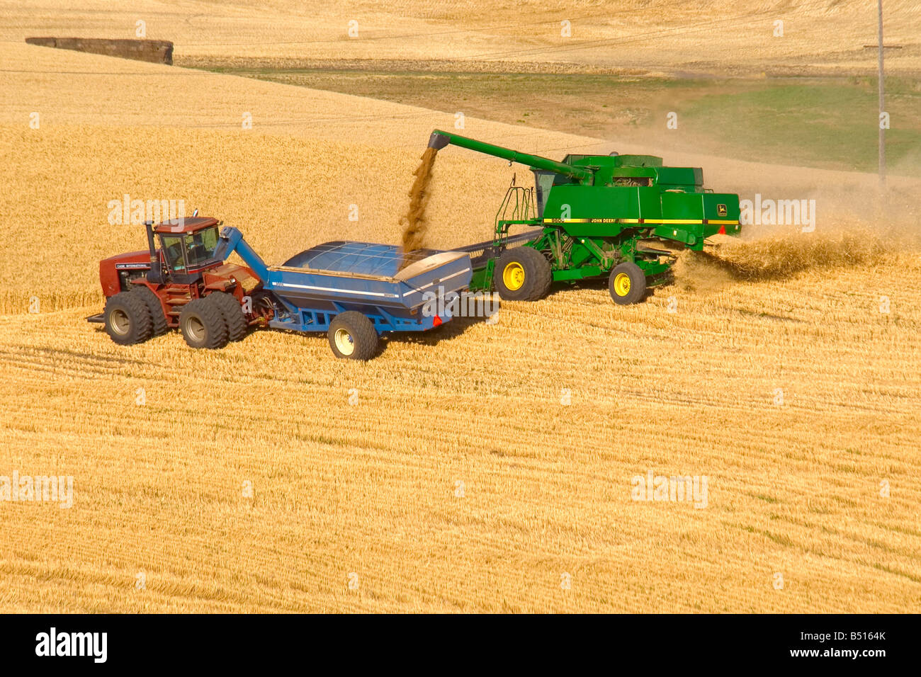A combine transfers wheat to a grain cart on the go while harvesting on ...