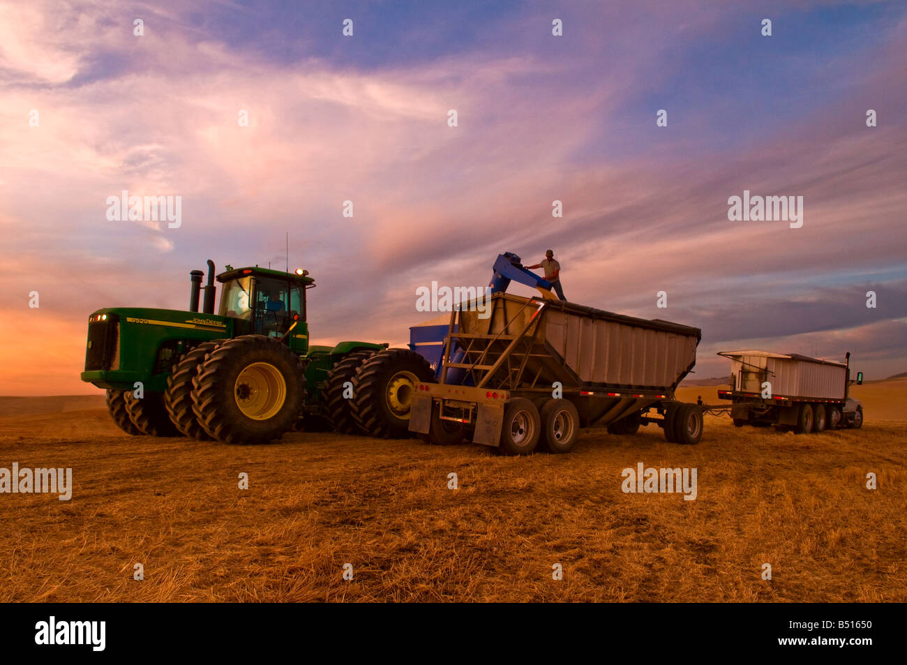 A truck driver supervises the loading of grain into his truck by a ...