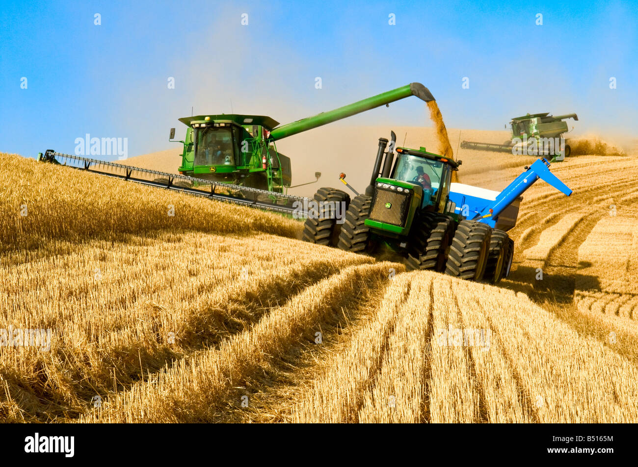 Combines at work during wheat harvest hi-res stock photography and ...