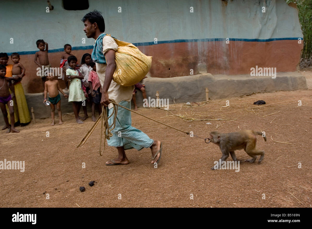 A monkey which plays,dances in front of audiances as per instruction of ...