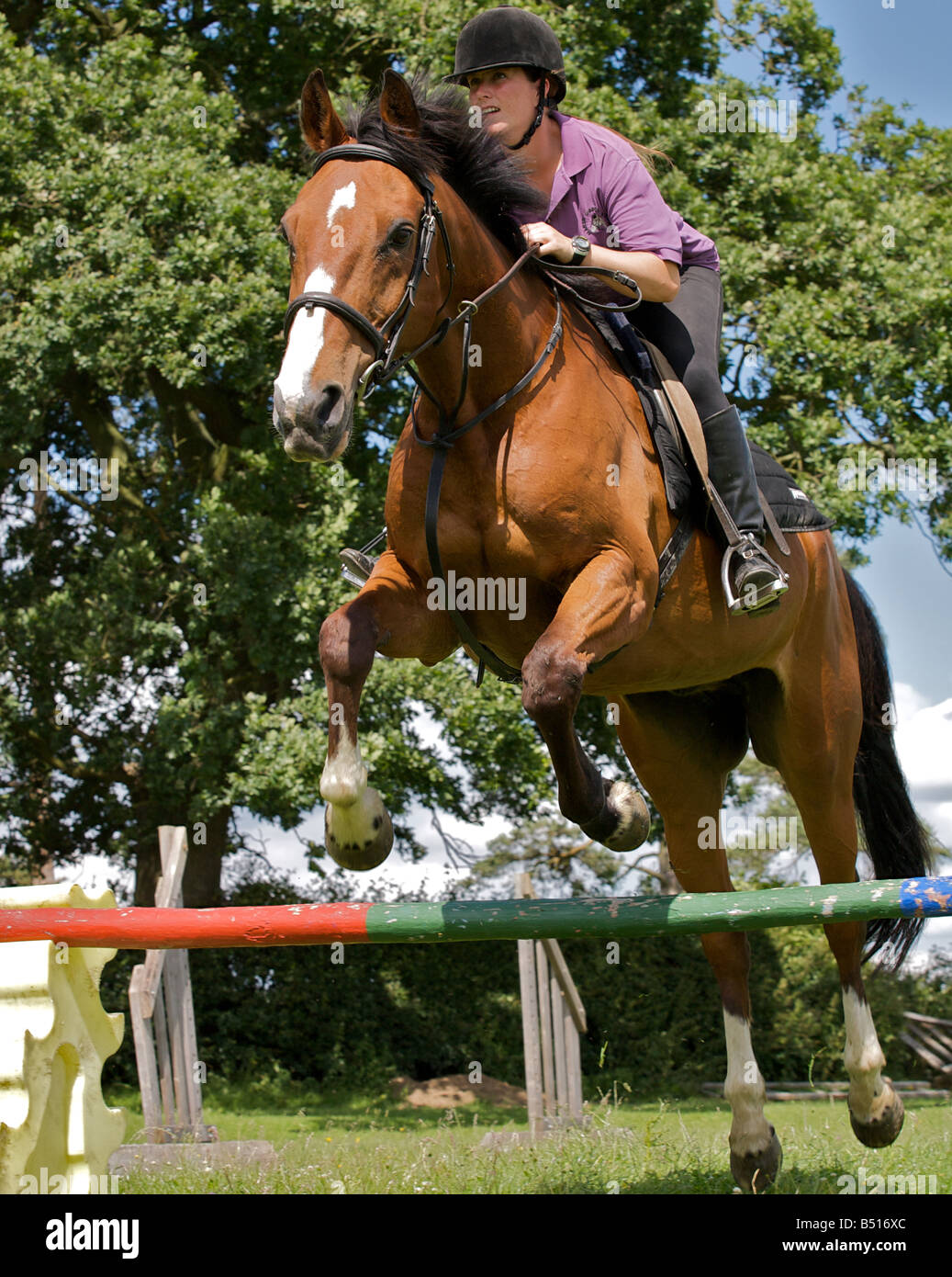 Rider and horse jumping Stock Photo - Alamy