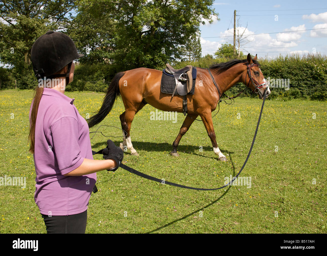 Lunging Horse High Resolution Stock Photography and Images - Alamy