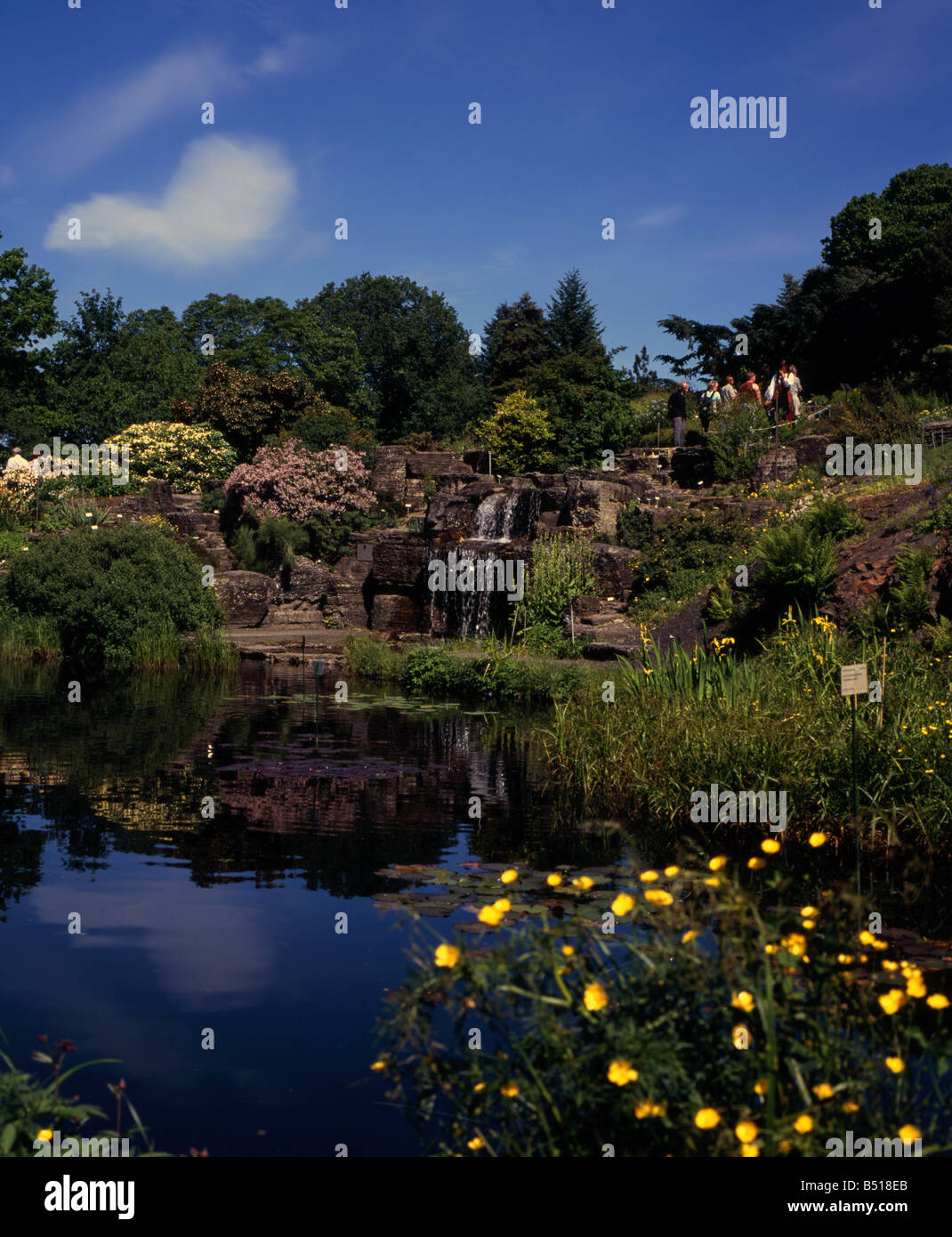 Oslo norway botanical garden hi-res stock photography and images - Alamy
