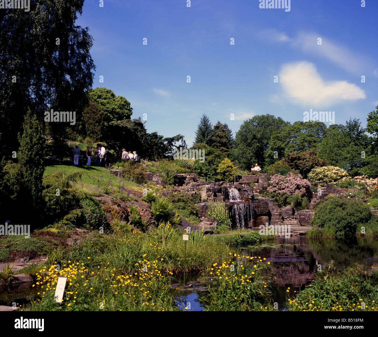 Alpine Garden and waterfall Botanisk Hage, Botanical Gardens, Oslo ...