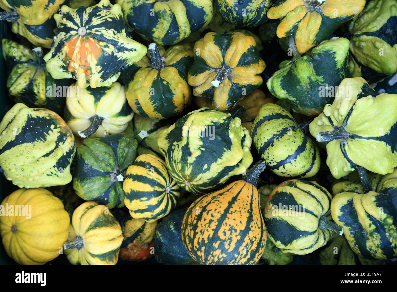 Multishaped hi-res stock photography and images - Alamy