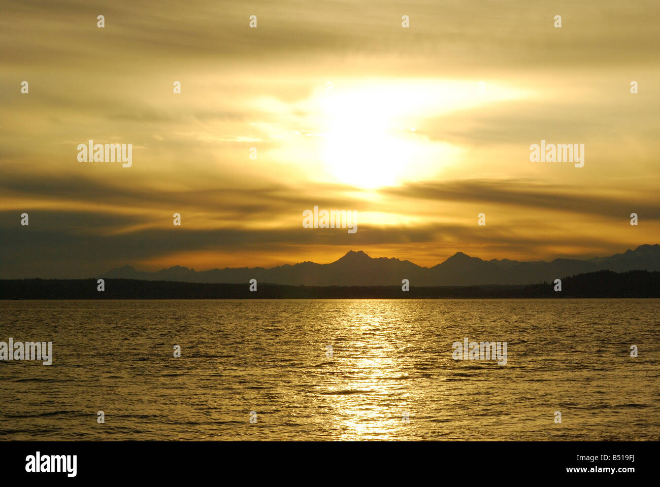Sunset on Puget Sound, Washington with the Olympic Mountains in the ...