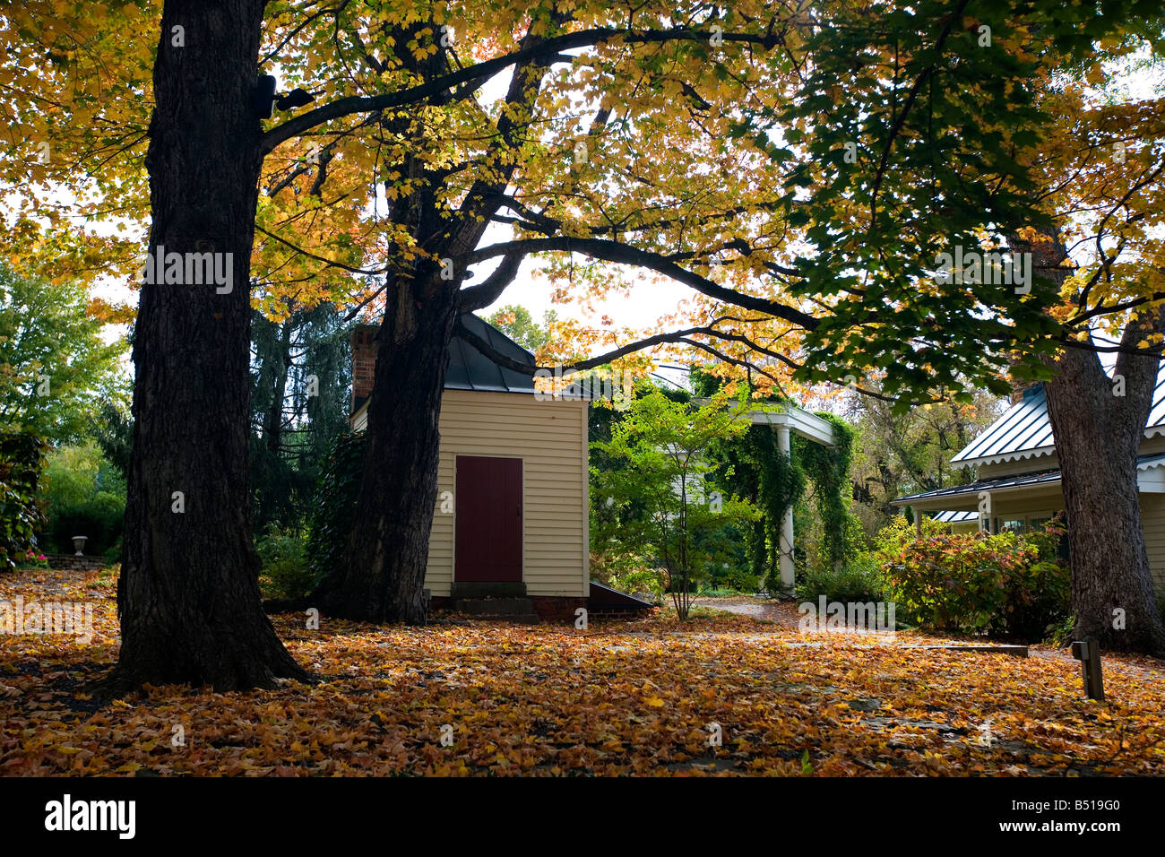 Rolling leaves hi-res stock photography and images - Alamy