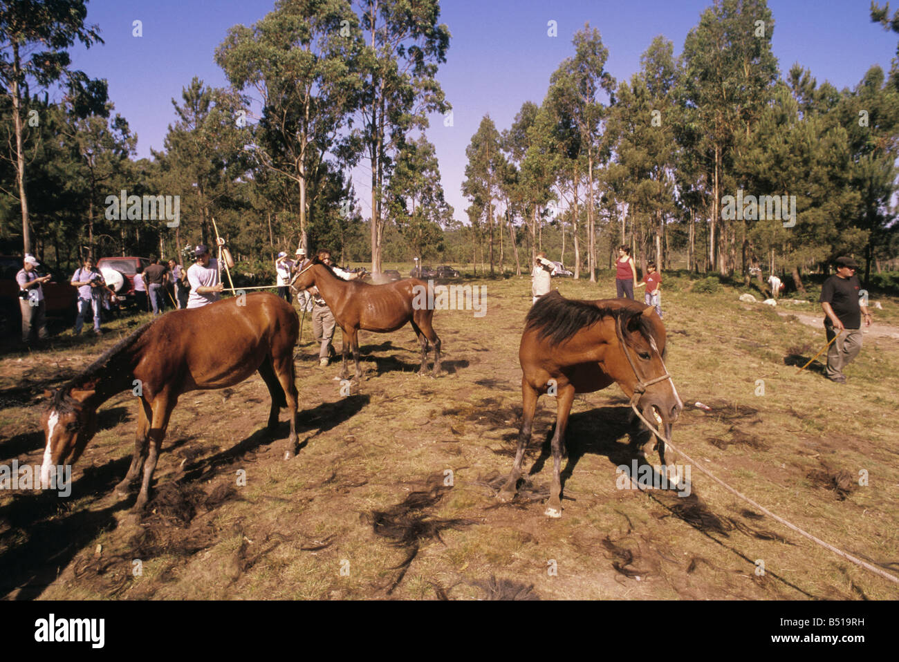 Country celebration Cut Out Stock Images & Pictures - Alamy