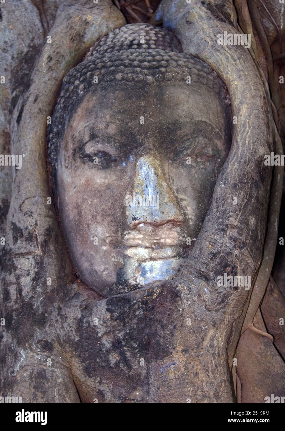 Face of thailand hi-res stock photography and images - Alamy