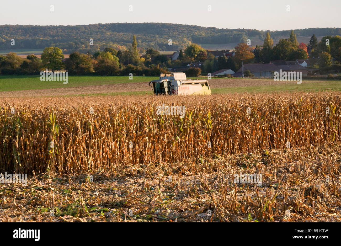 Harvesting machine hi-res stock photography and images - Alamy