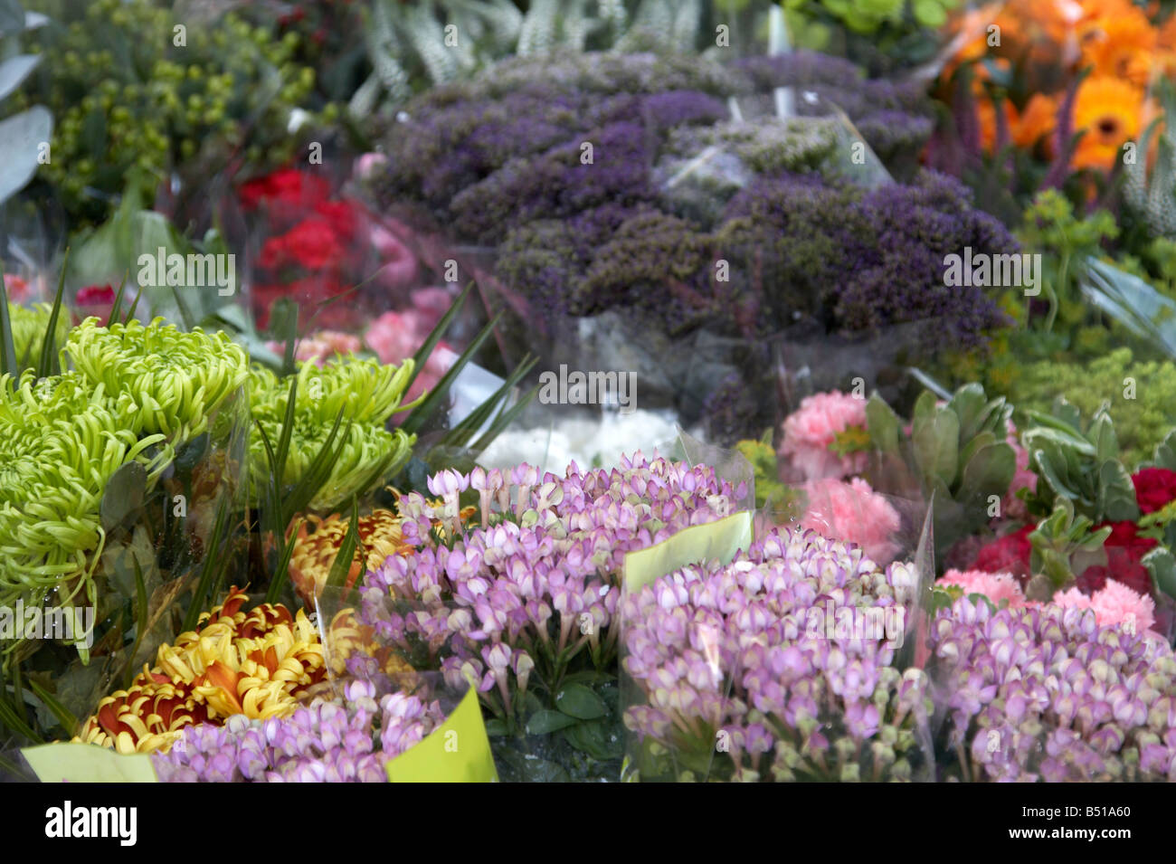 Variety of flowers for sale at Columbia Road Flower Market, Shoreditch ...