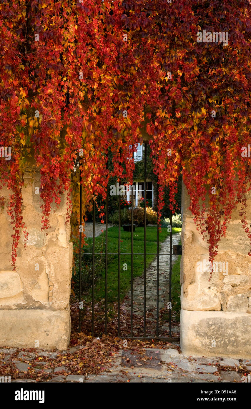 Colourful autumn leaves, framing black cast iron gate Stock Photo - Alamy