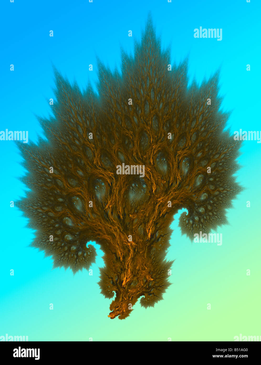 Fractal tree hi-res stock photography and images - Alamy
