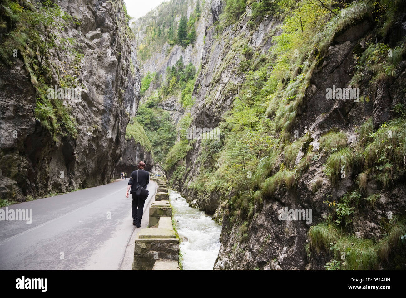 Moldavia Romania Europe Road through Bicaz River gorge in Cheile ...
