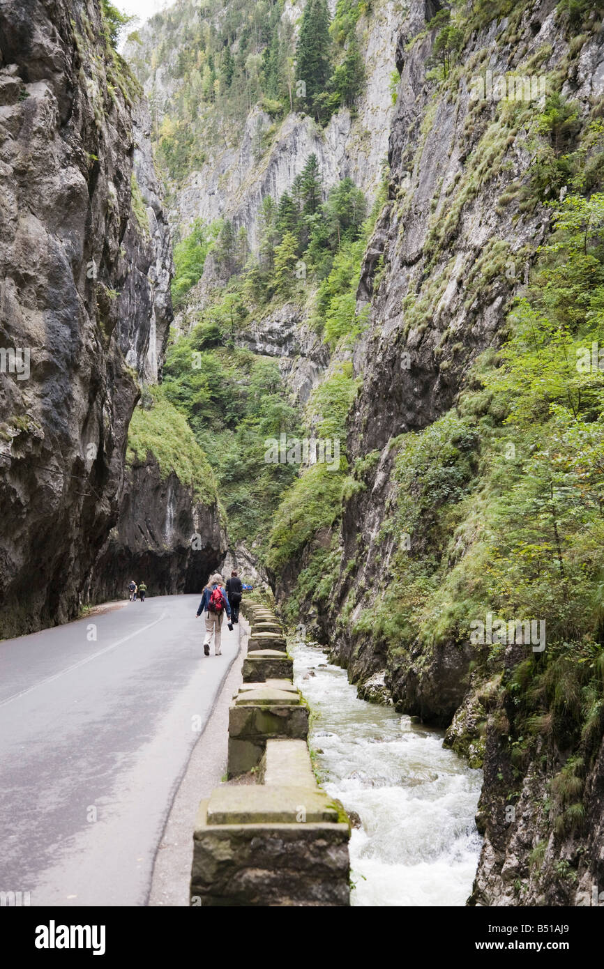 Moldavia Romania Europe Road through Bicaz River gorge in Cheile ...