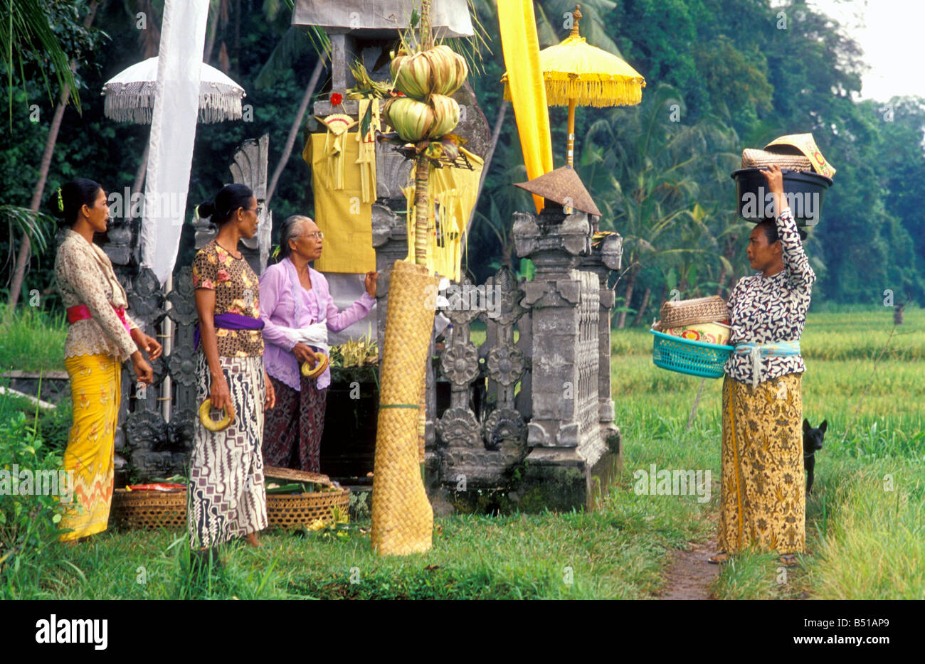 women at rice temple to Dewi Sri mengwi bali indonesia Stock Photo - Alamy