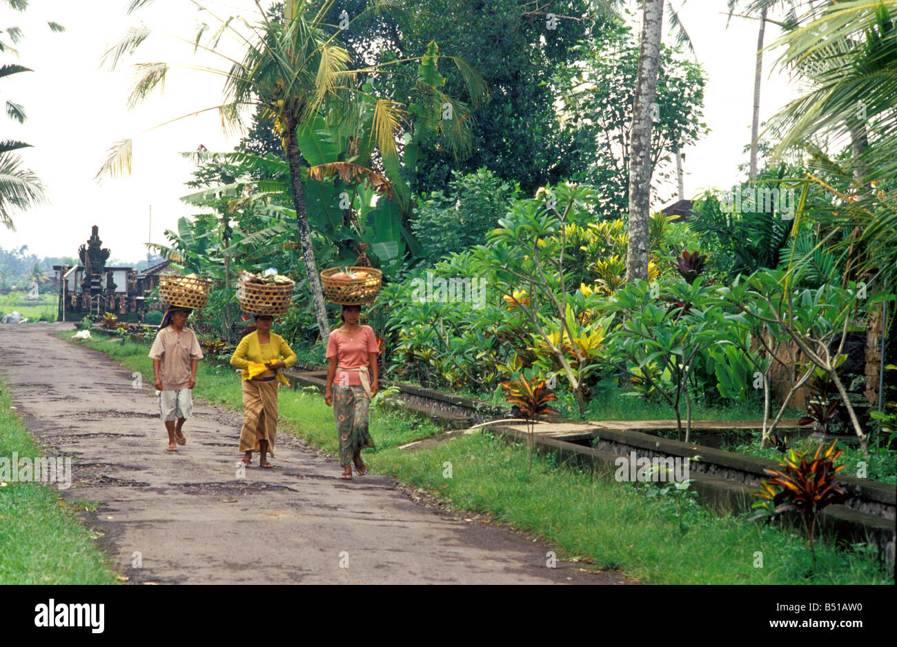 Mengwi village hi-res stock photography and images - Alamy