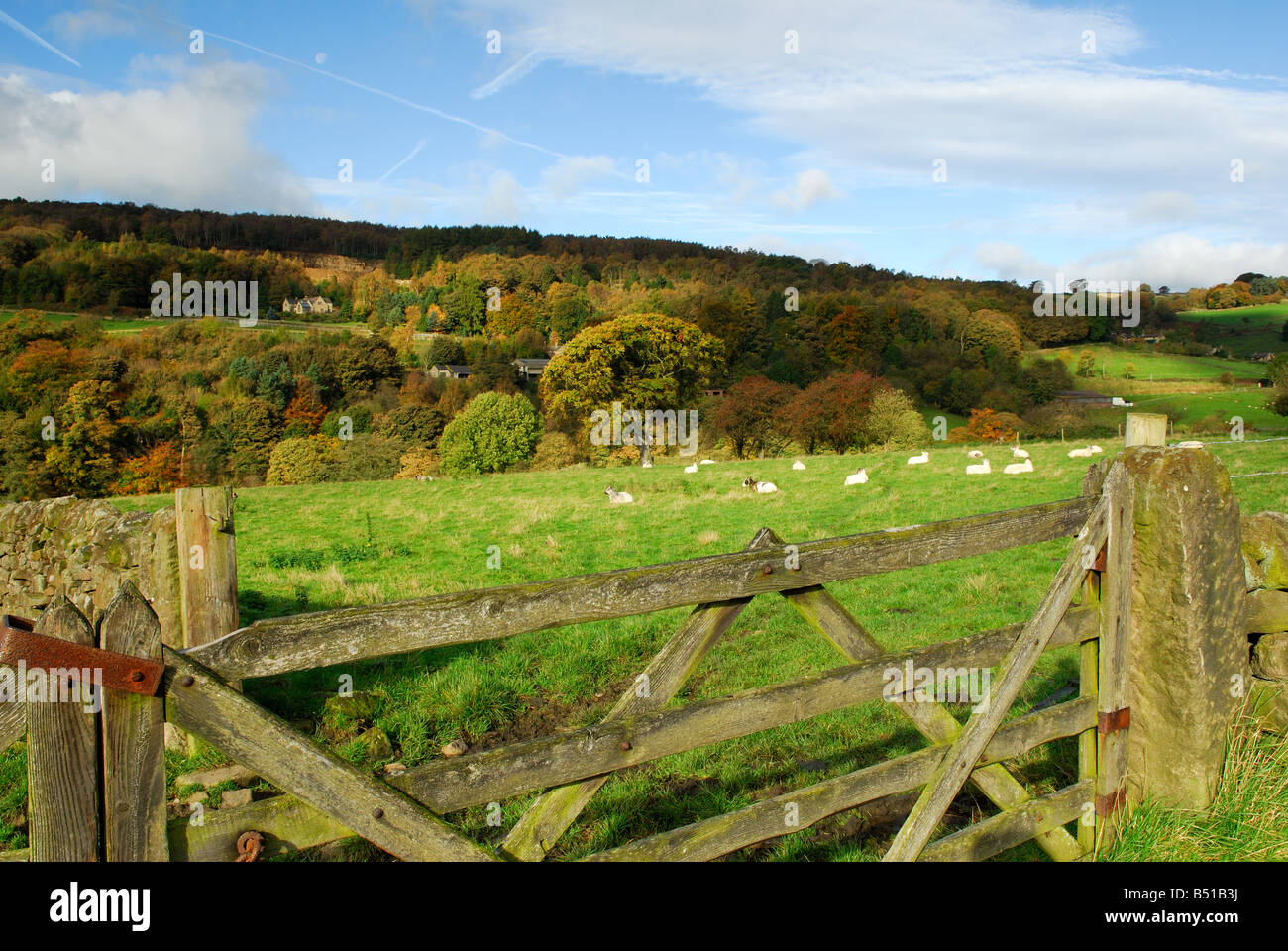 Peak District Landscape Stock Photo - Alamy