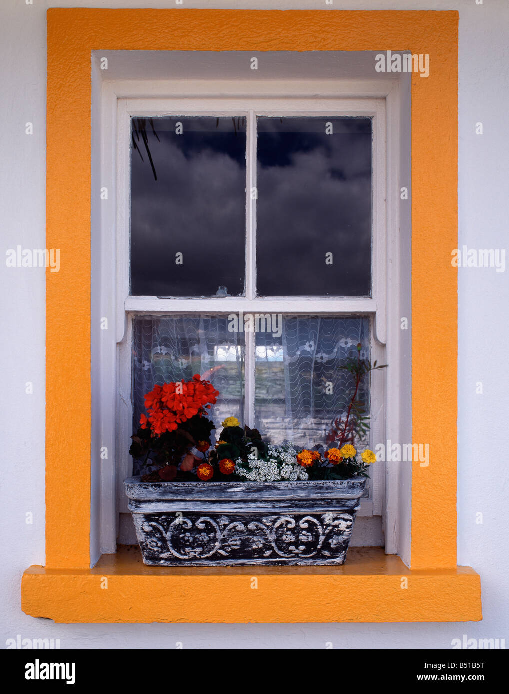 Flowers in window box in window with painted yellow frame Stock Photo ...