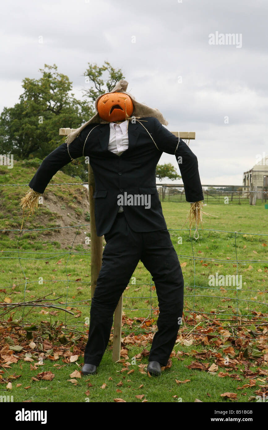 Pumpkin head scarecrow hi-res stock photography and images - Alamy