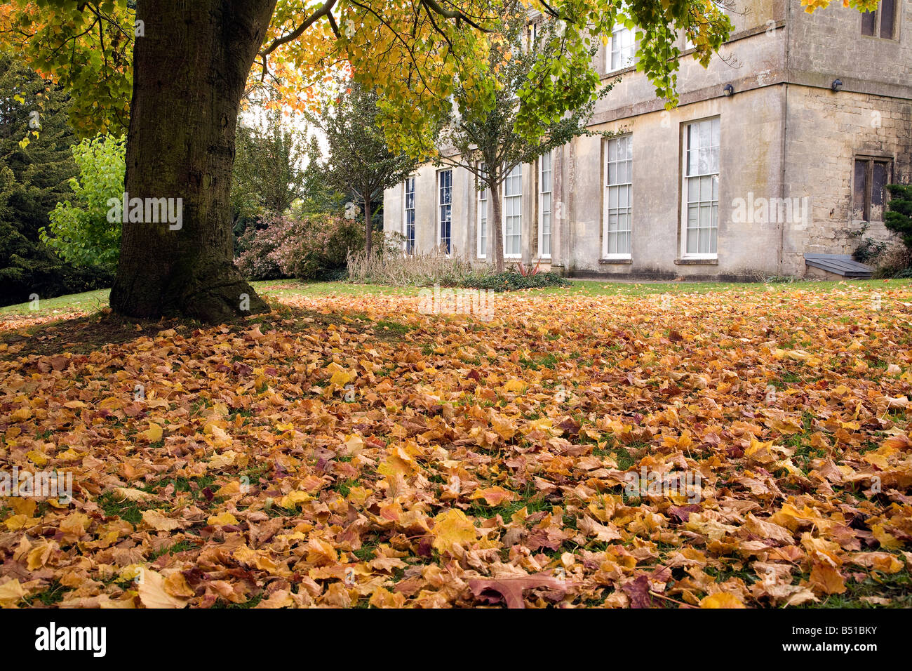 Museum in the park stroud hi-res stock photography and images - Alamy