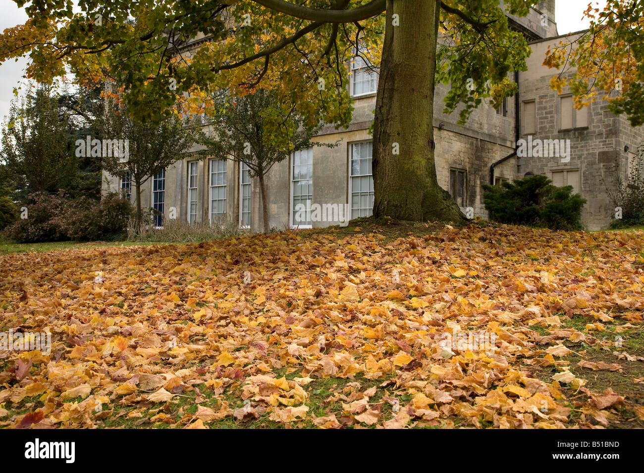 Museum in the park stroud hi-res stock photography and images - Alamy