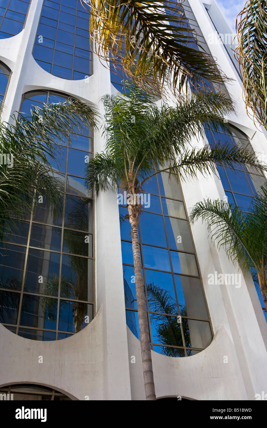 Office building palm hi-res stock photography and images - Alamy