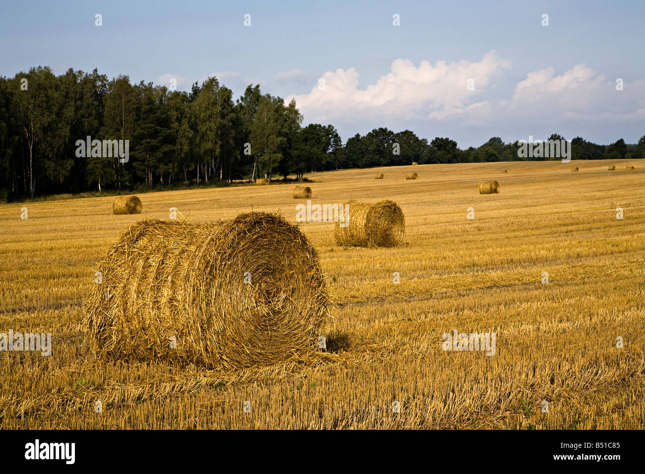 Yellow hay bales hi-res stock photography and images - Alamy