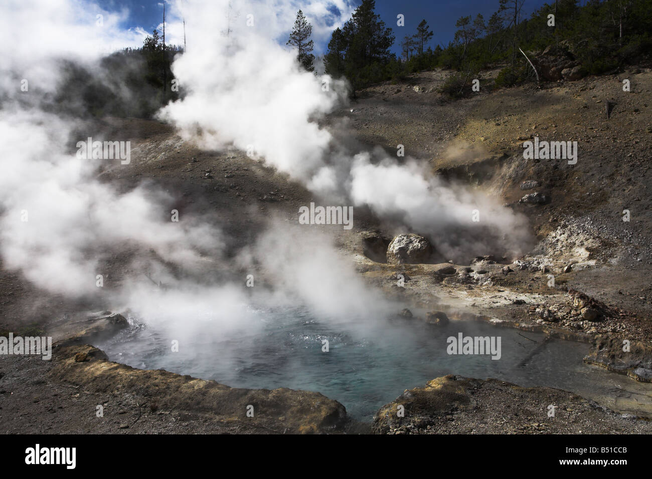 Boiling geothermal geyser in Yellowstone Park Stock Photo - Alamy