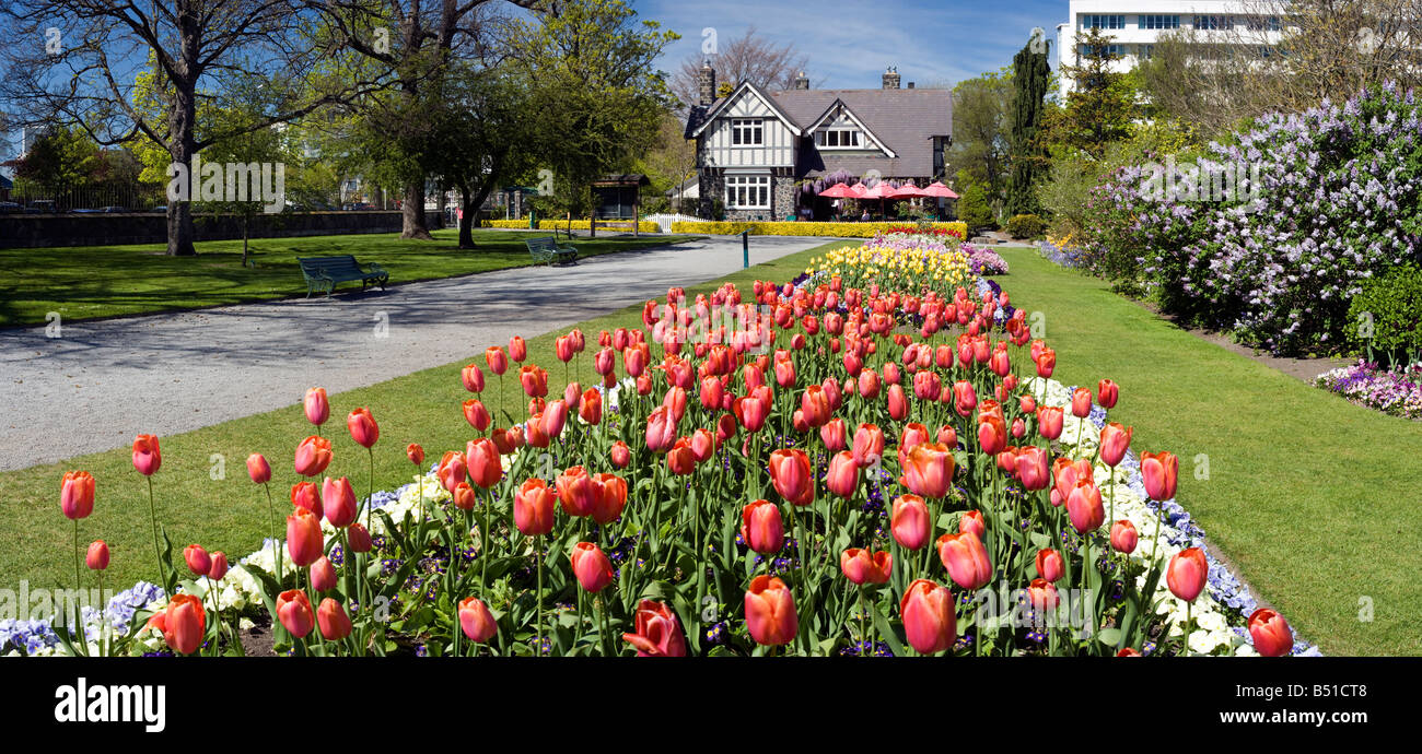A scenic photo in Christchurch, New Zealand of the spring flowers in ...