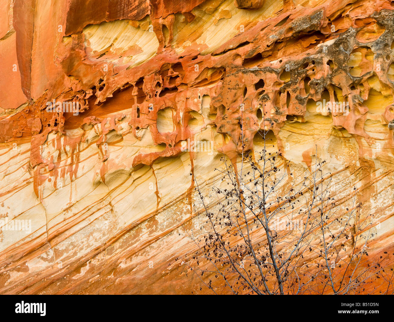 Red rock cliff hi-res stock photography and images - Alamy