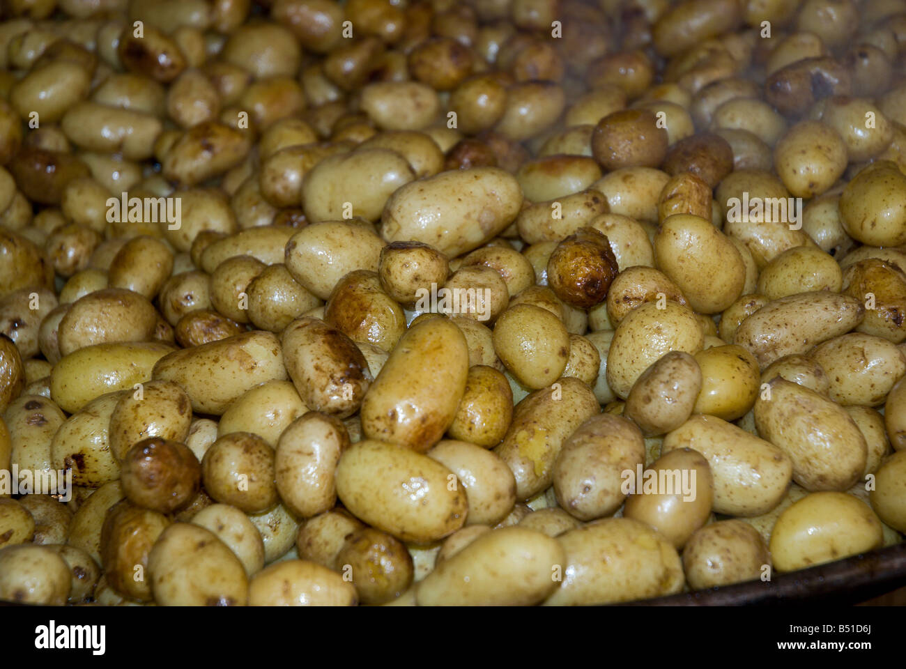 Boiled Potatoe High Resolution Stock Photography and Images - Alamy