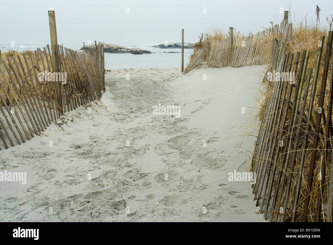 Photograph of a beach path leading to the ocean Stock Photo - Alamy