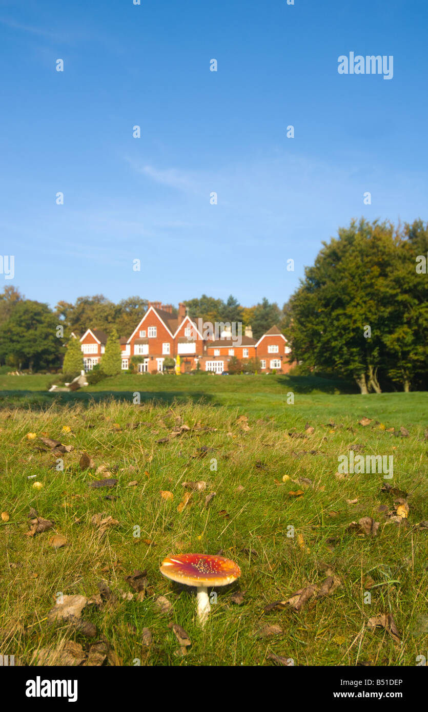 Headley High Resolution Stock Photography and Images - Alamy