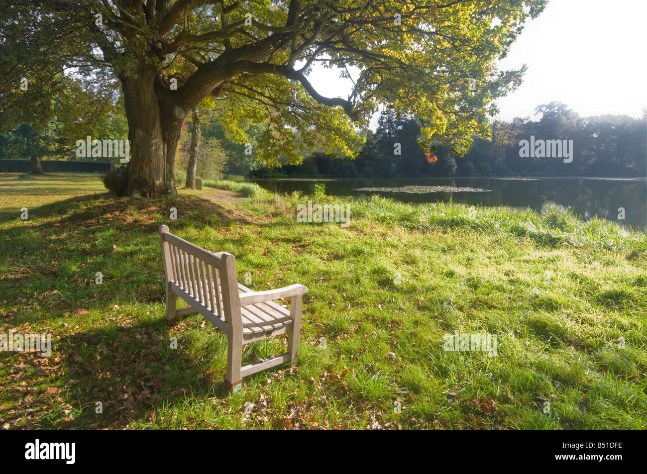 Headley Park Lake Surrey UK Stock Photo - Alamy