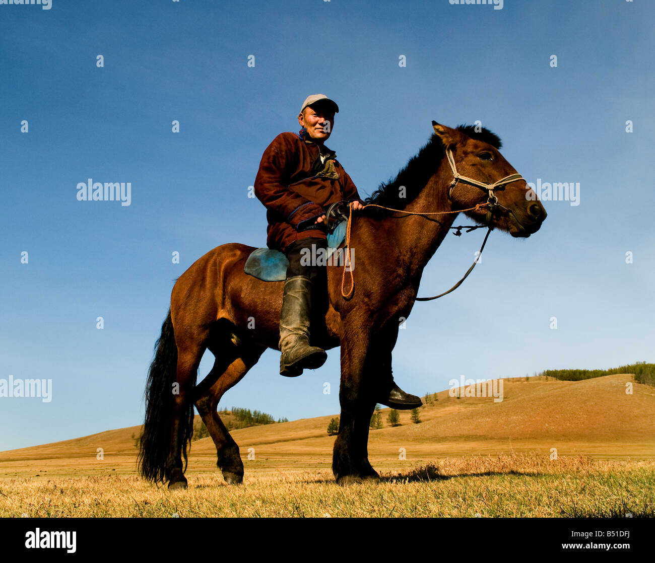 The great Mongol horseman in the Mongolian grasslands Stock Photo - Alamy