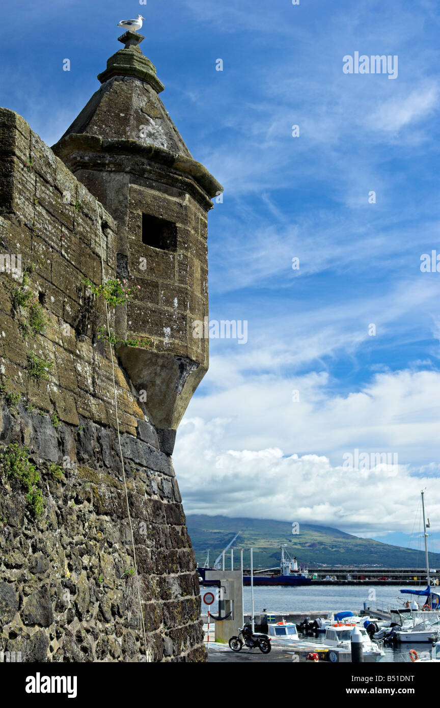 Faial fort hi-res stock photography and images - Alamy