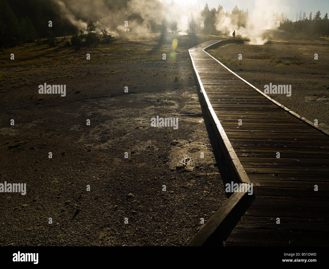 Geyser,boardwalk,Yellowstone National park Stock Photo - Alamy