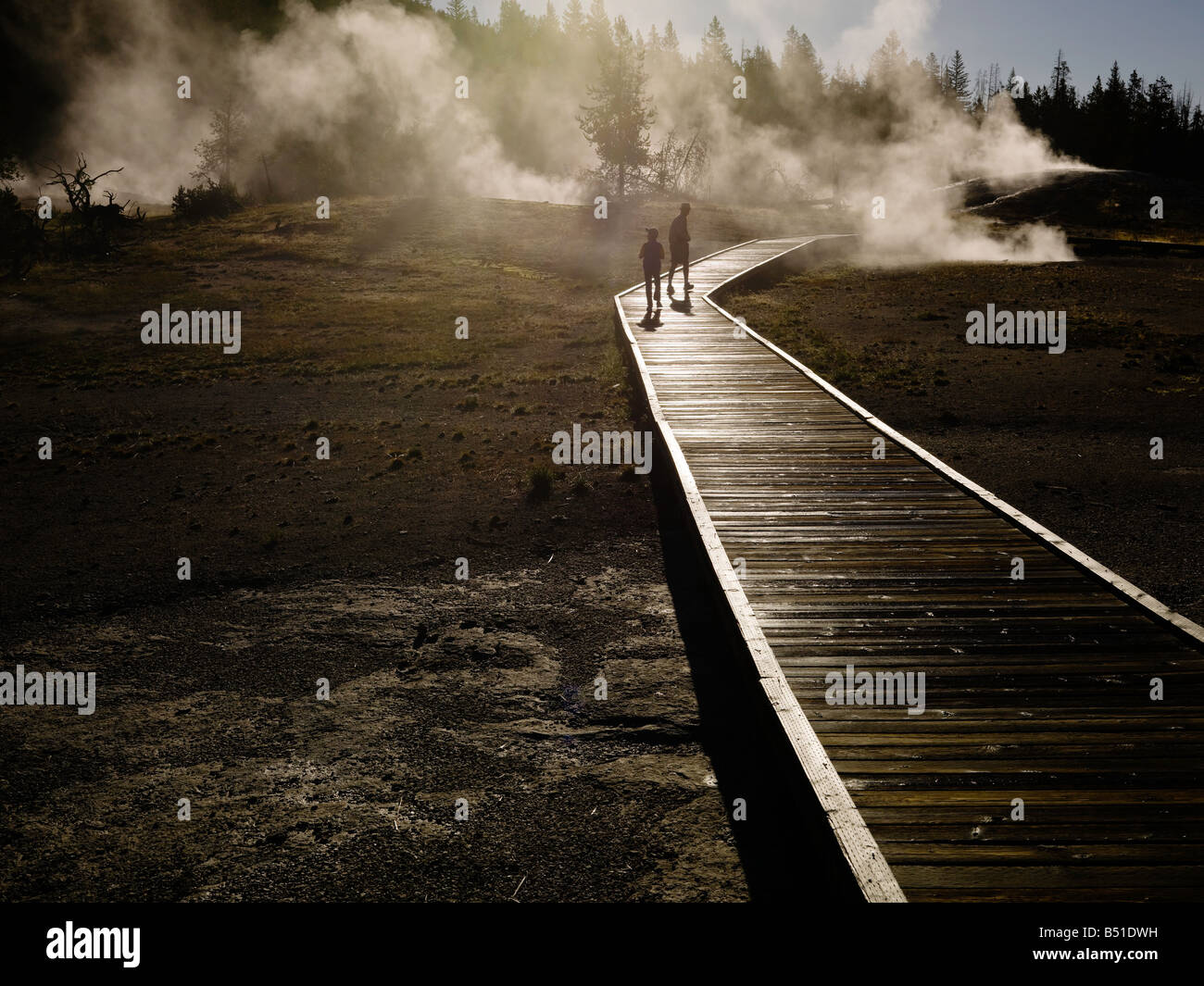boardwalk over geyser area in Yellowstone National Park Stock Photo - Alamy