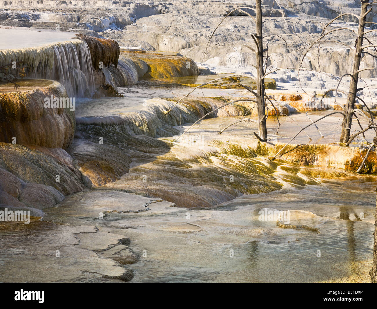 Mammoth Hot Spring in Yellowstone National park Stock Photo - Alamy
